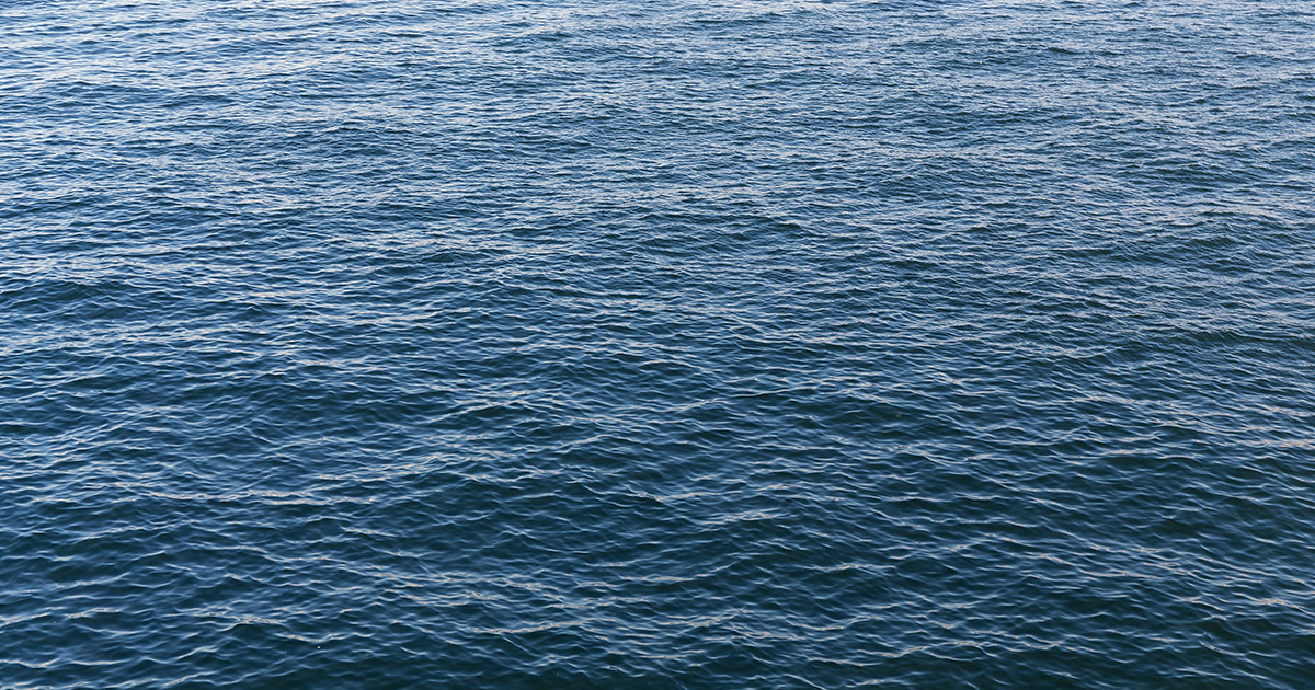 Sernapesca y su Rol Clave en la Protección de las Maravillas Marinas de ...